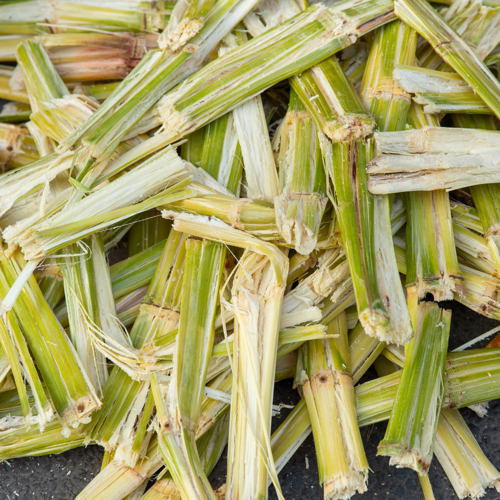 Sustainable Packaging Materials for UK Retailers | TEC Packaging UK